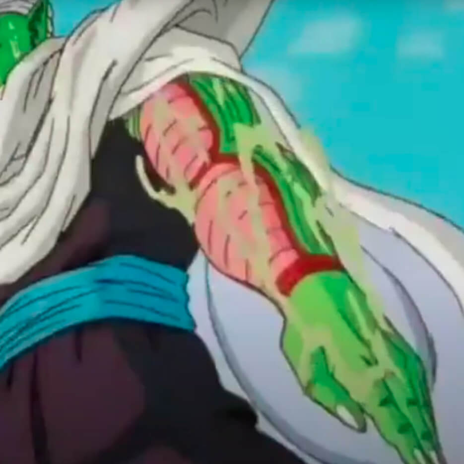 Piccolo - Fight Profile - Dragon Ball Guru