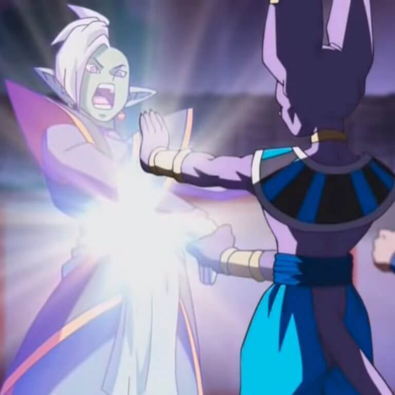 Beerus - Fight Profile - Dragon Ball Guru