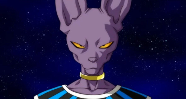 Beerus - Fight Profile - Dragon Ball Guru