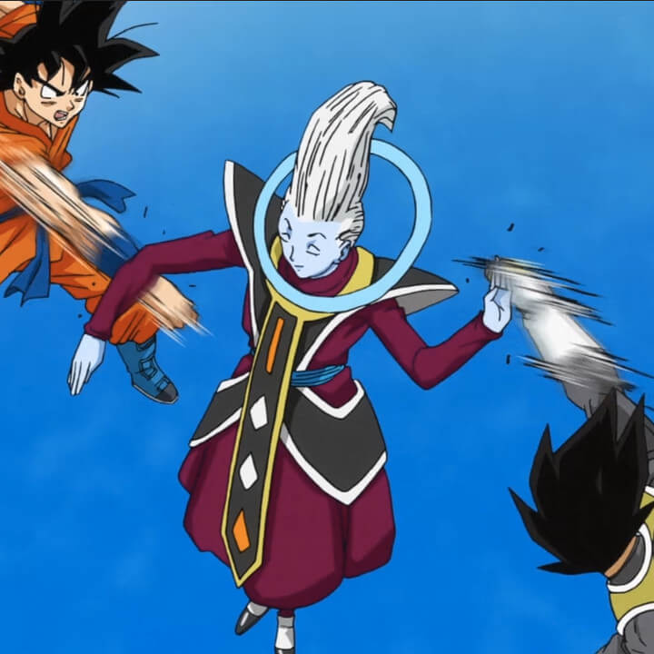 Whis - Fight Profile - Dragon Ball Guru