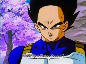 Vegeta Hairline - Explained - Dragon Ball Guru